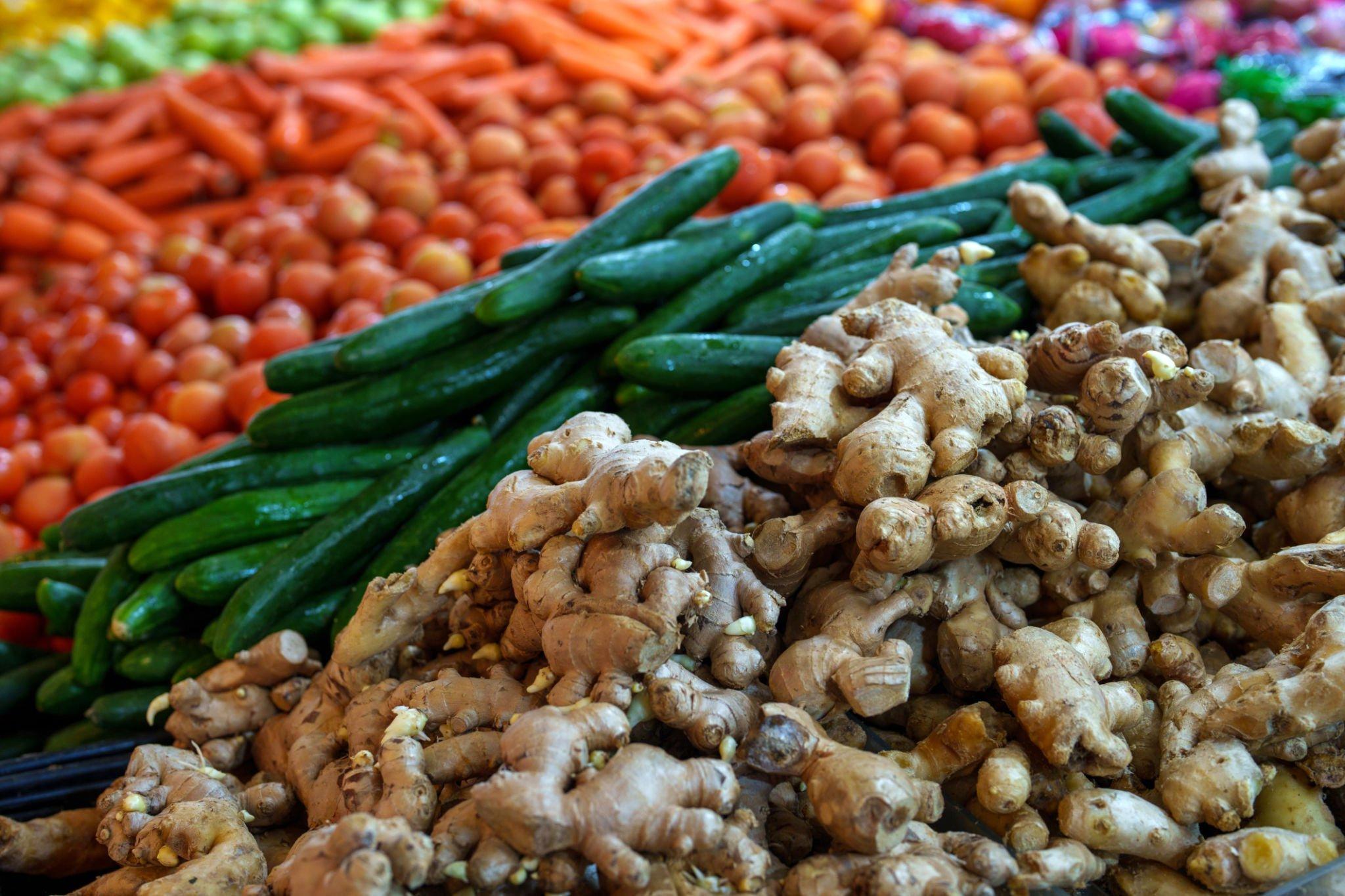 Unveiling the Key Agricultural Products with Endona Corporation ...